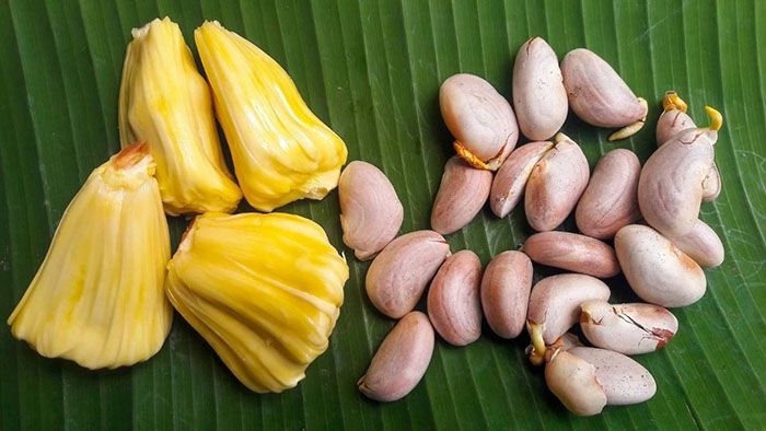 Ăn hạt mít có tốt không? Những lợi ích sức khỏe từ hạt mít